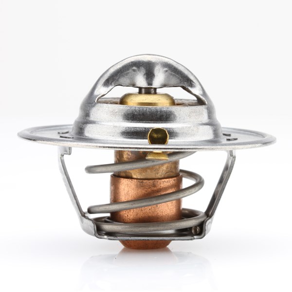 TT219-160 - Thermostat | Tridon